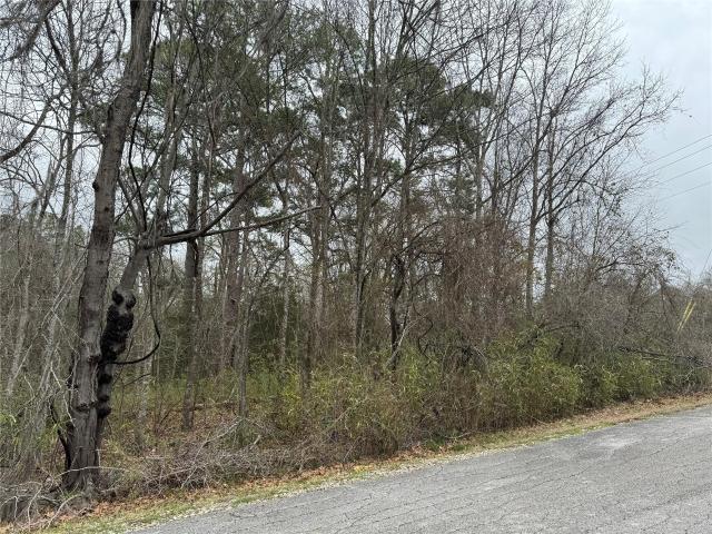 2 Clearwater Cir, Coldspring, TX 77331 | MLS #83191 | Compass