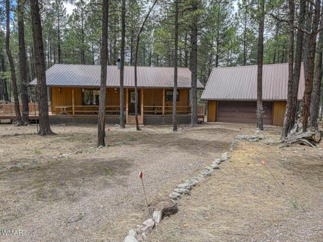 2 Co Rd 2089, Alpine, AZ 85920
