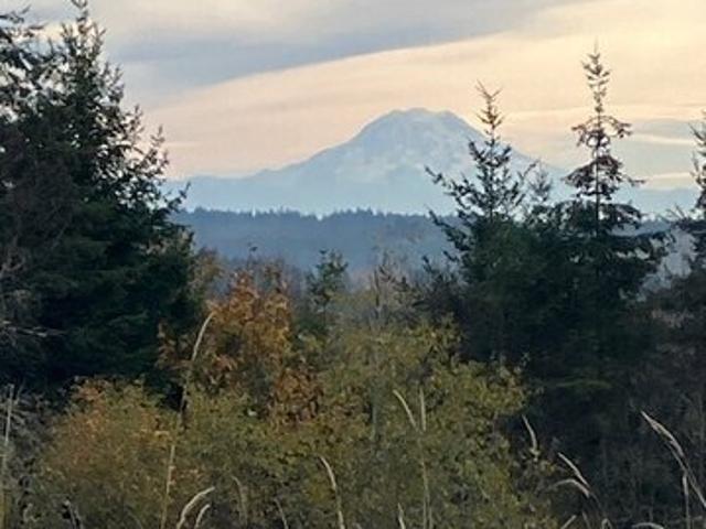 2 E Lone Fir Dr Unit DIV2, Shelton, WA 98584