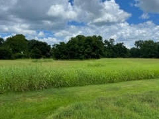 2 E Prudhomme St, Opelousas, LA 70570 | MLS #24002