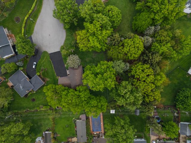 2 Faro Court