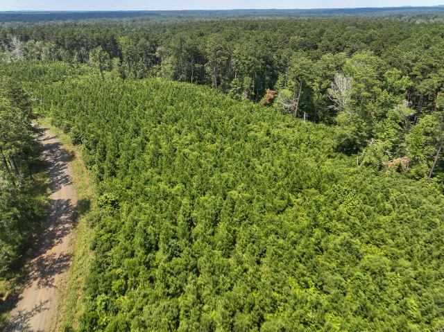 2 Fire Tower Dr, Hemphill, TX 75948 | MLS #76414 | Compass