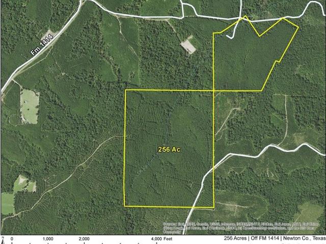 2 FM 1414, Burkeville, TX 75966