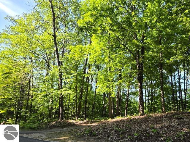 2 Forest Trail