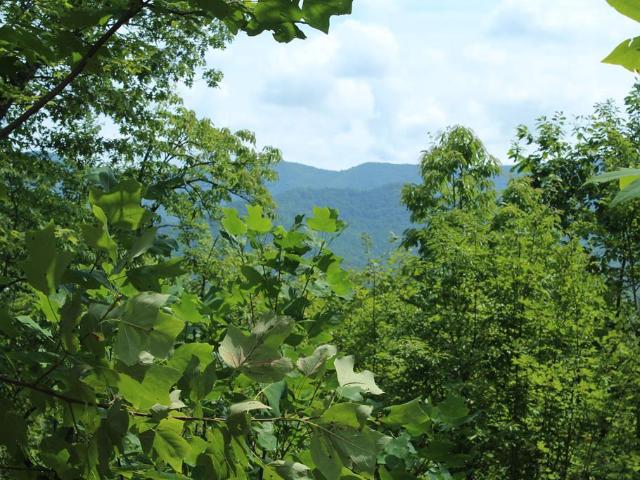 2 Gabriel Ridge, Hayesville, NC 28904 | MLS #407131 | Compass
