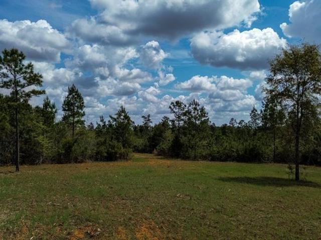 2 Harrell Rd, Parrott, GA 39877