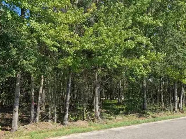 2 HARRIS ST, ATMORE, AL 36502 Vacant Land For Sale MLS# 655654