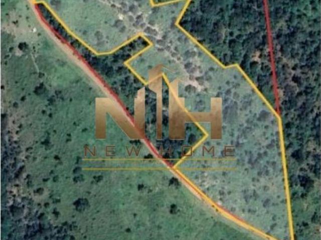 2 hectares no Altiplano Leste