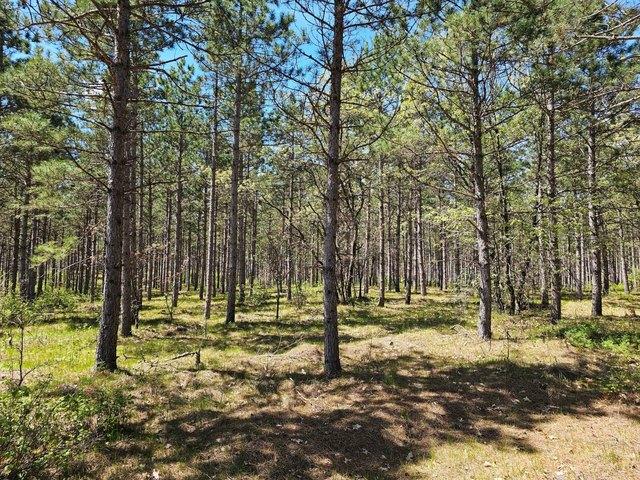 2 Hidden Trail Rd Lot 2, Rome, WI 54457