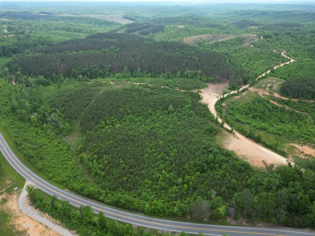 2 Hohenwald HWY