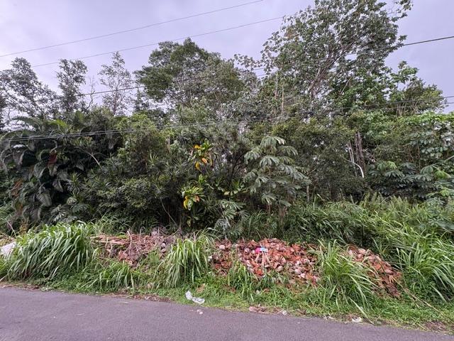 2 Iao St, Pahoa, HI 96778 | MLS #730016 | Compass