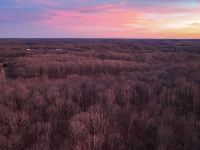 2 John Ross Hollow Rd, Erin, TN 37061