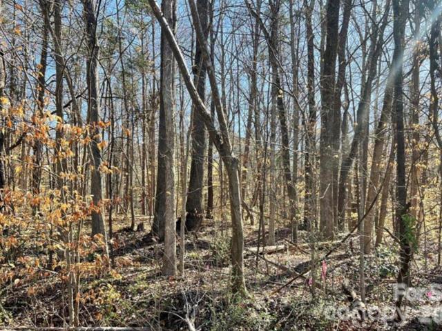 2 Lurecliff Pl, Fort Mill, SC 29708 | MLS #4376 | Compass
