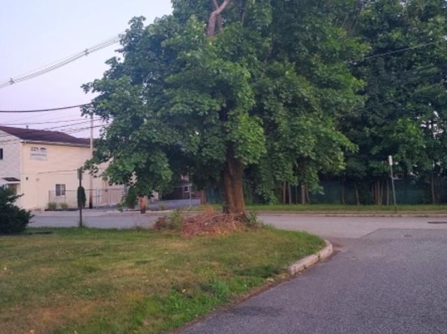 2 Leonard Pl # 2B