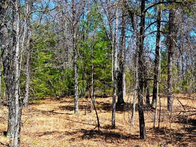 2 Lodge Lake Rd Lot 2, Winter, WI 54896