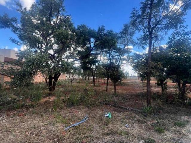 2 LOTES JUNTOS COND. ESTANCIA QUINTAS DA ALVORADA