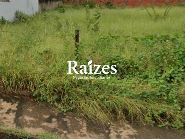 2 lotes juntos no Minas Gerais