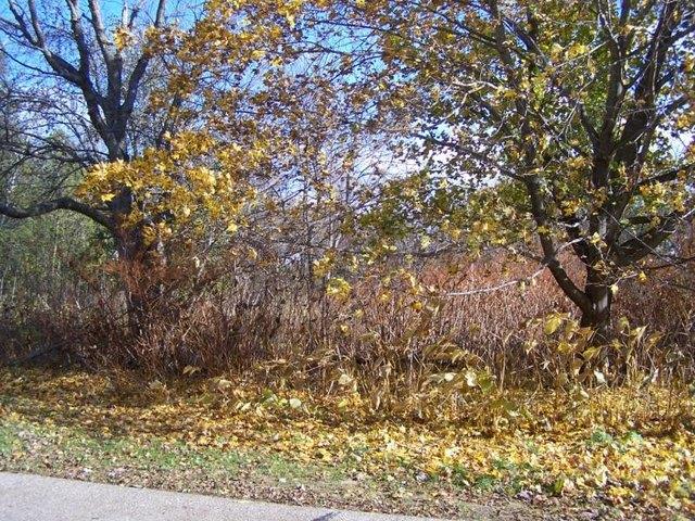 2 Lots, Harrisville, MI 48740