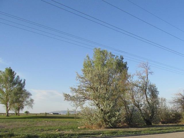 2 Lots Sw Corner Golf Course, Milford, UT 84751