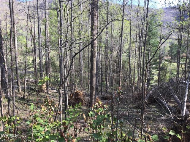 2 Lots Powell Valley Road