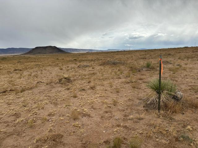 2 Lots Rio Grande Estates Avenue