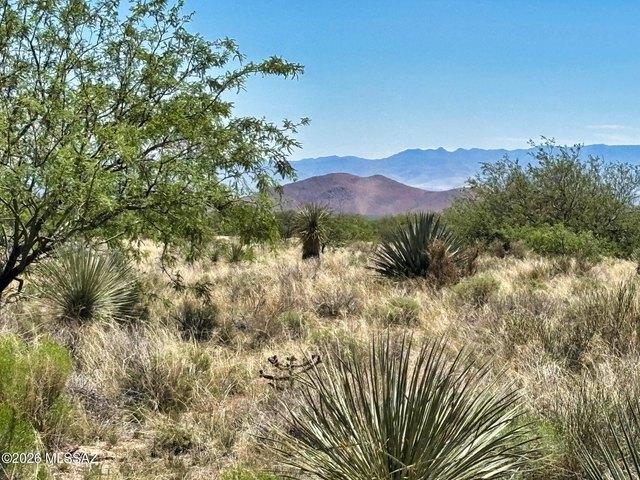 2 Lots W Zinnia Street Unit 9/10, Pearce, AZ 85625