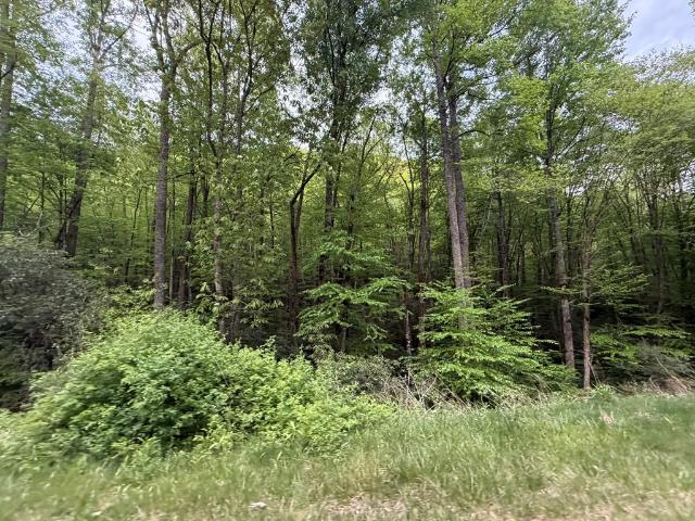 2 lots Warrior Way Road