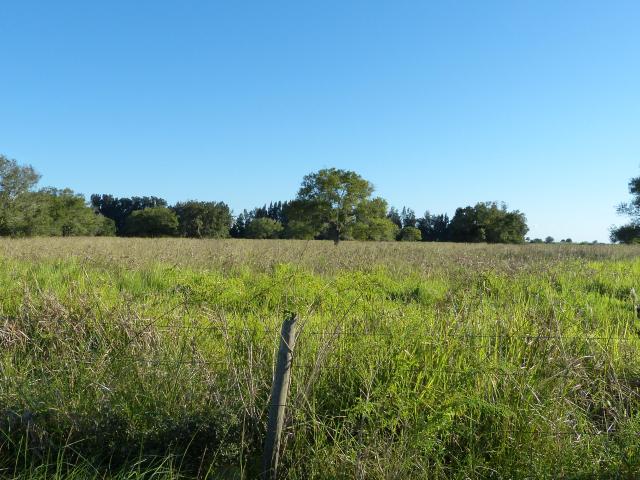 2 Pineapple Ln, Fort Pierce, FL 34945 | MLS #B26000