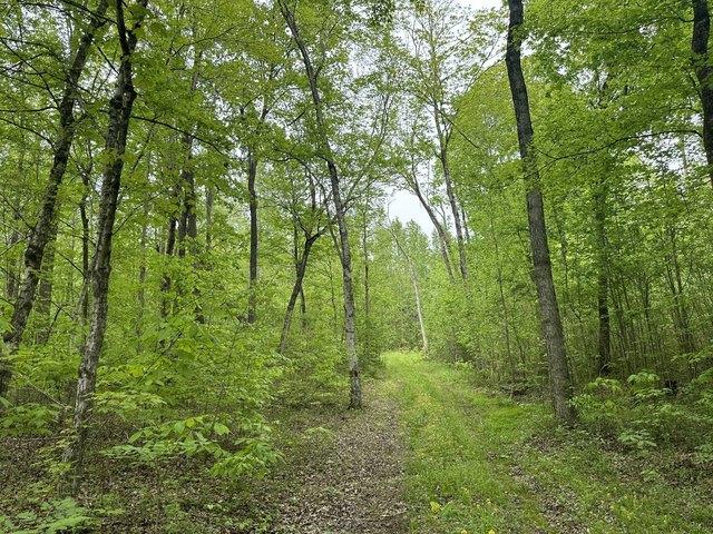 2 Poplar Ridge Rd, Chapmansboro, TN 37035