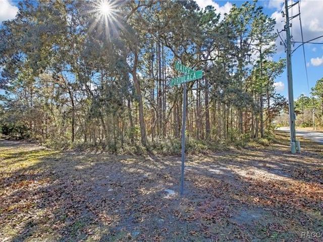 2 Portulaca Ct, Homosassa, FL 34446
