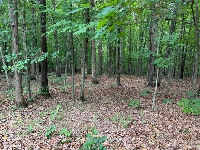 2 Red Bird Dr, Gladstone, VA 24553