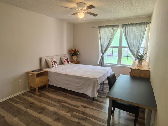 2 rooms for rent