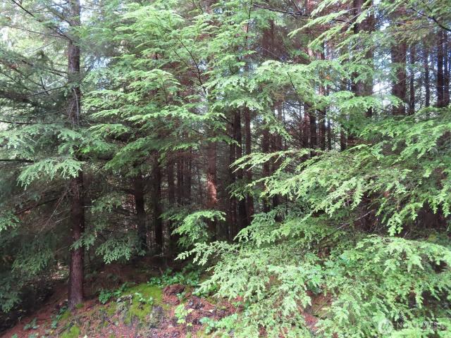 2 State Route 101, South Bend, WA 98586 | MLS #2333 | Compass