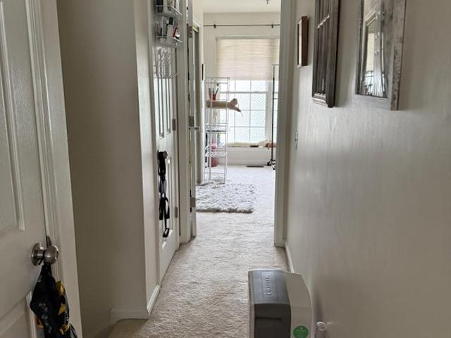2 Story Condo Dog friendly room available