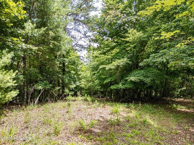 2 Stormy Rdg Lot 2, Brasstown, NC 28902