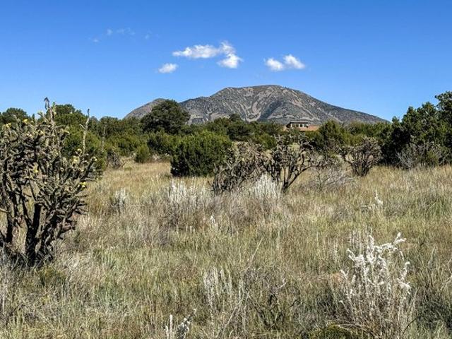 2 Straughan Ct, Sandia Park, NM 87047