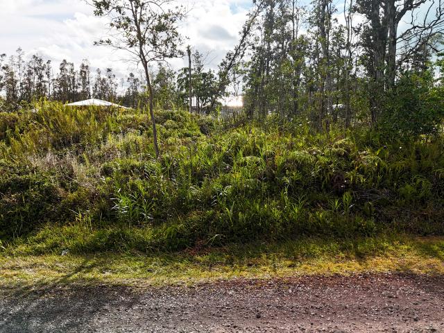2 Sugarcane Ln, Pahoa, HI 96778 | MLS #724953