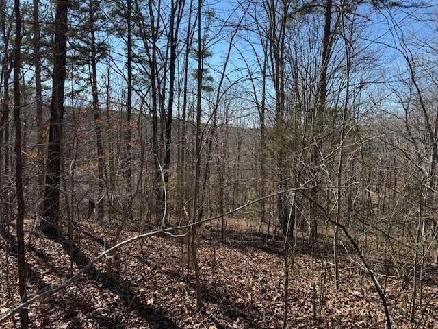 10915 S South Pittsburg Roa Mtn Lot 13, South Pittsburg, TN 37380