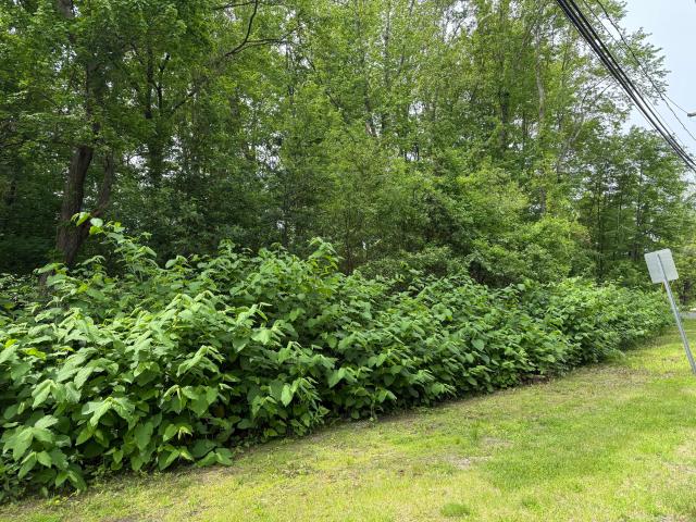 2 Sandra Ave, Plymouth, CT 06786 | MLS #24101
