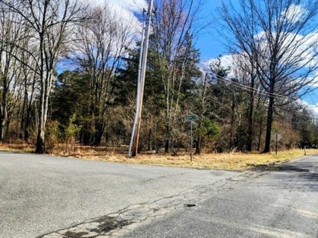 2 Shrope Ln, Kingwood Township, NJ 08825