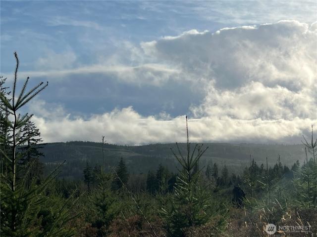 2 Snow Creek Rd, Quilcene, WA 98376 | MLS #2461