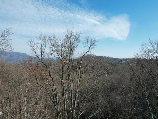 2 Spurling Way, Sevierville, TN 37862