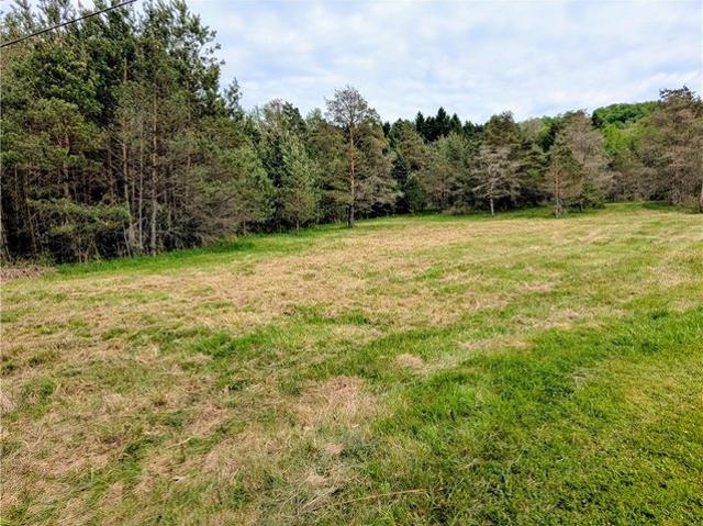 2 Two Mile Rd, Port Allegany, PA 16749