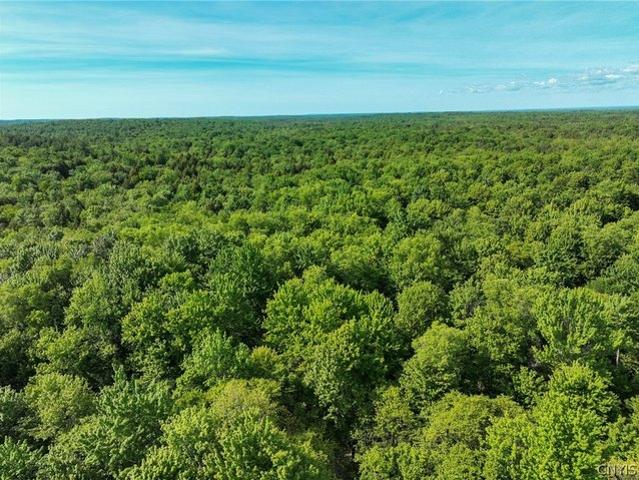 2 Tamblin Ridge Trl, Constantia, NY 13028