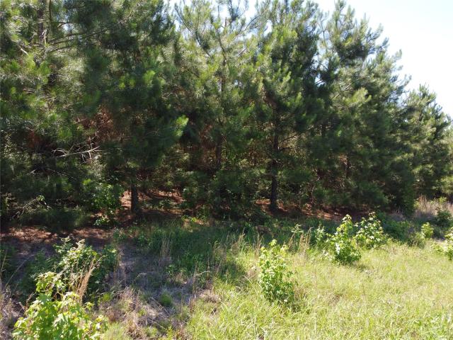 2 TBD County Road 295