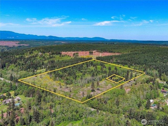 2 Teal Lake Rd, Port Ludlow, WA 98365