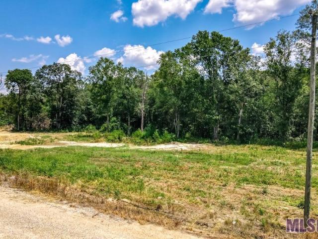 2 Tennant Ln, Zachary, LA 70791 | MLS #BR2025022