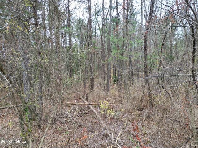 2 Terra Ferma Dr, Egremont, MA 01230 | MLS #249263