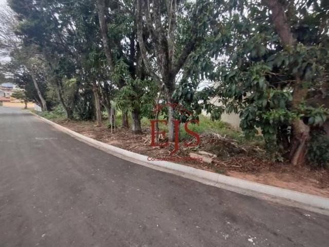 2 terrenos plano a venda em rua asfaltada próximo do bosque da cidade a venda em Piracaia SP
