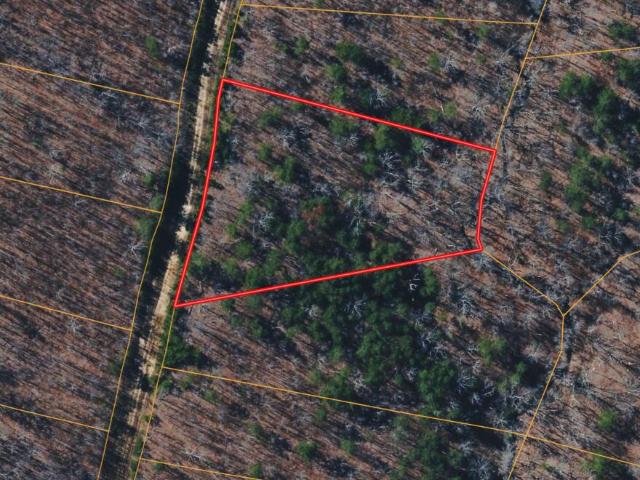 2 Timber View Road